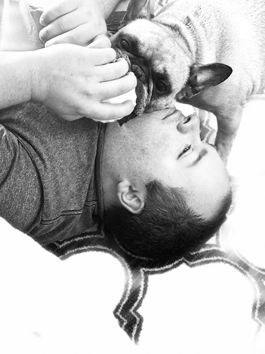 bruno - French Bulldog Village